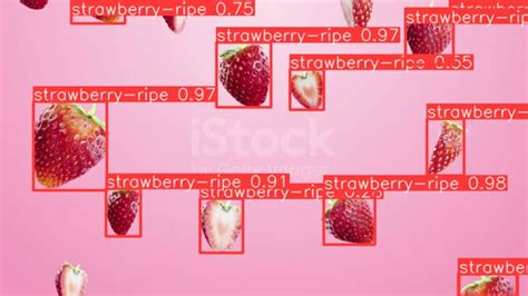 Arjun Pamudurthi On Linkedin Strawberry Aimers Aimersociety Apsche Datascience Opencv…