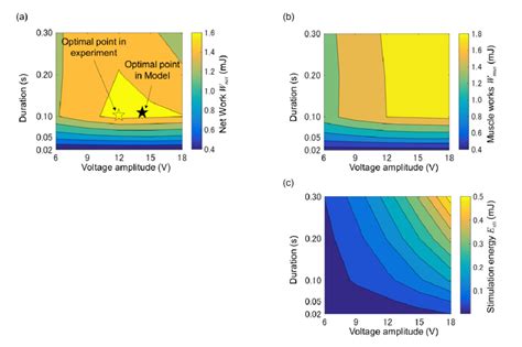 Validation Results Obtained Based On The Optimal Stimulation Signal