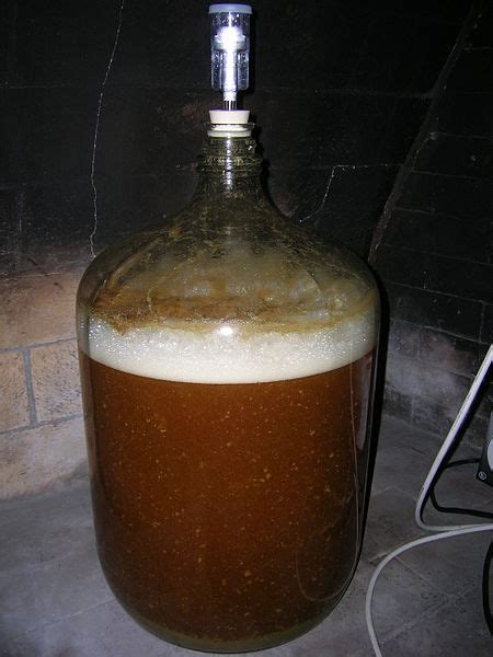 Yeast Fermentation Beer