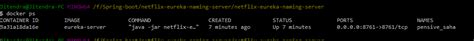 Spring Cloud And Spring Boot Part Deploying The Eureka Server And Spring Boot Application In