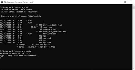 NPM Install Fails While Creating The Salesforce Lightning Web Runtime Project Issue