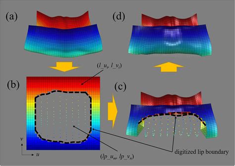lip surface mesh generation based on the digitized landmarks download scientific diagram