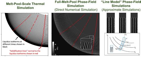 Dendrite Resolved Full Melt Pool Phase Field Simulations To Reveal Non