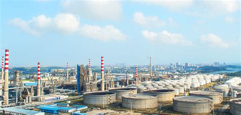 Piccolo Control Services