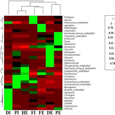 Hierarchically Clustered Heat Map Finger Printing Of The Top 10 Fungal