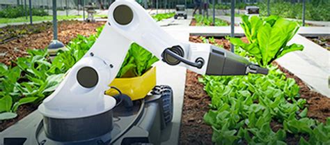 Experimentați puterea FPGA urilor PolarFire Electronica Azi