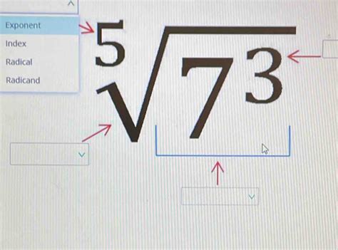 Solved Exponent Index Radicand Sqrt 5 73 Radical Math