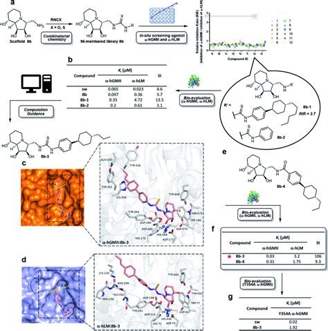 Synthesis And Evaluation Of A Compound Library A Parallel Synthesis