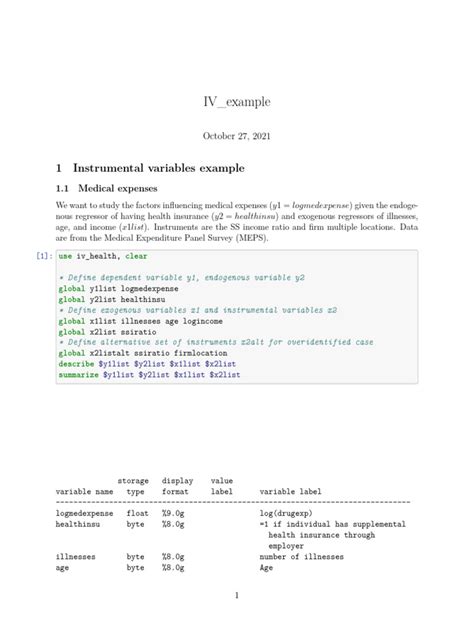 Iv Example Pdf