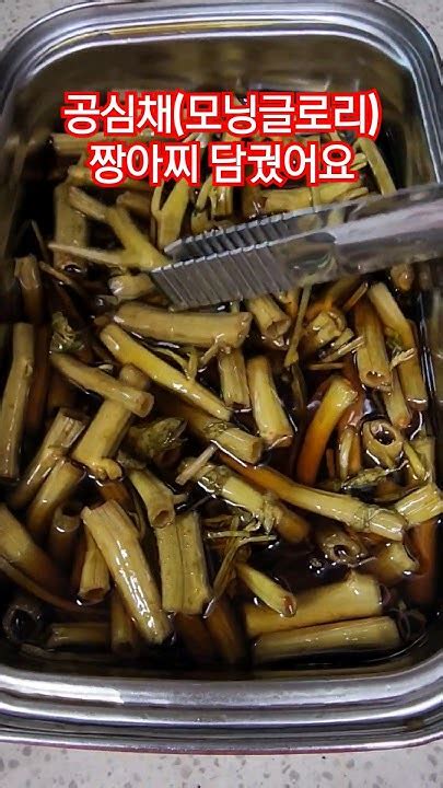 직접키운 공심채모닝글로리짱아찌입니다 7월14일 담그고 일주일뒤 24일 맛봅니다공심채 모닝글로리 집밥 강화도채여사