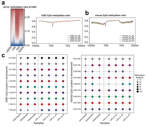 表现优异！真迈生物genolab M平台全基因组甲基化测序研究成果发布 深圳市真迈生物科技有限公司