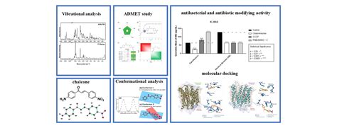 Synthesis, structural, characterization, antibacterial and antibiotic ...