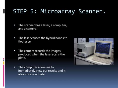 Ppt Dna Microarray Powerpoint Presentation Free Download Id662011