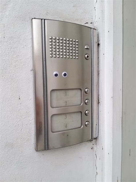 Looks Like Odo Is Back Working Security Again R Greatestgen