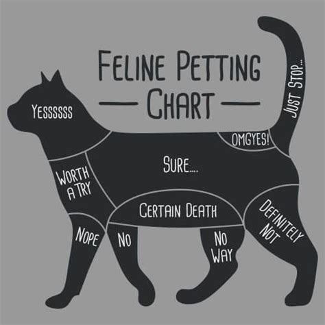 Cat Petting Chart Artofit