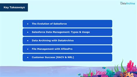 Next Gen Salesforce Data Management Strategy Storage Performance Compliance And Security