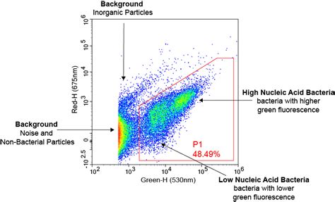 Enhancing Bacterial Research Using Flow Cytometry Biocompare Bench Tips