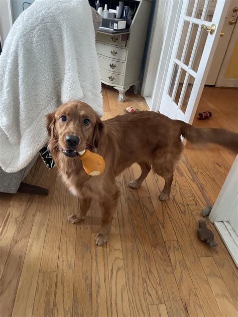 Layla Loves Her New Toy Raww