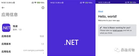 Net Maui 安卓 Ui 资源设置 董川民
