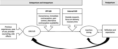 schematic of immediate postplacental versus delayed insertion timing