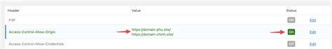 How To Fix The Blocked By CORS Policy Error On WordPress