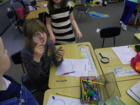 Free Fallin Into First First Grade Rocks