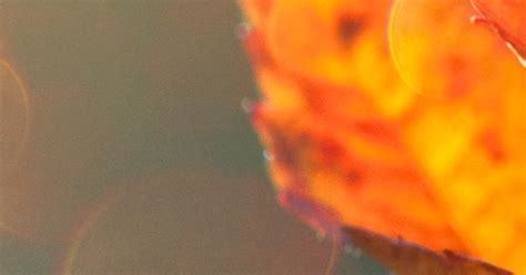Tdai Call For Session Proposals Interdisciplinary Research Fall Forum