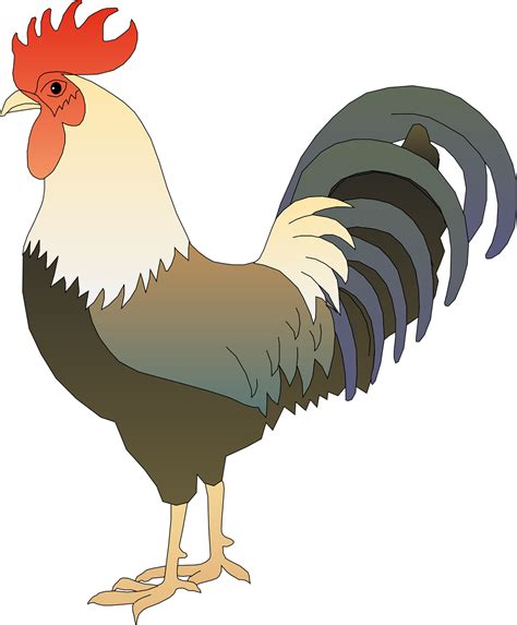 Over 100 Free Rooster Vectors Pixabay