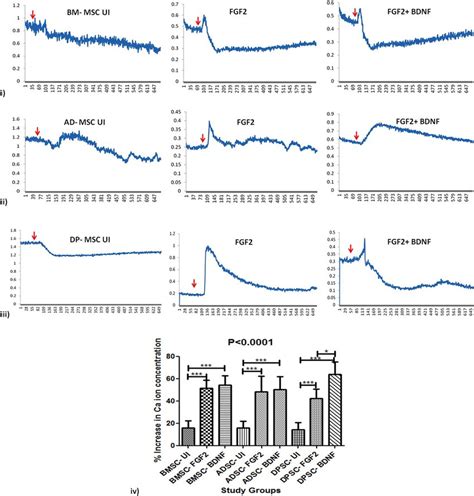 Calcium Ion Imaging Analysis By Fura Red Am Ratiometric Dye I Iii