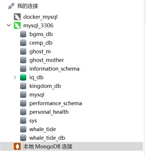 Mongodb 入门指南:安装、配置与 Navicat 连接教程navicat连接mongodb Csdn博客 Mongodb 入门指南:安装、配置与 Navicat 连接教程navicat连接mongodb Csdn博客