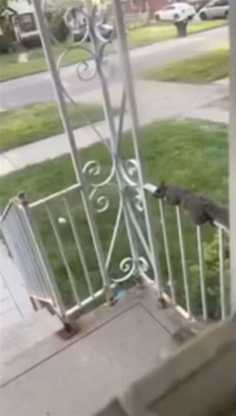 „who Me “ „meee “ R Funny