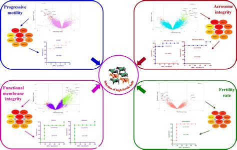 Depicting The Identification Of Hub Genes In Sperm Fertilization