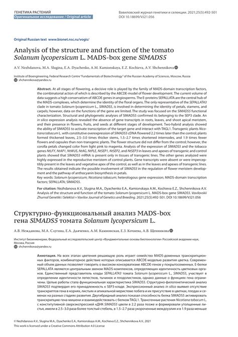 pdf analysis of the structure and function of the tomato solanum