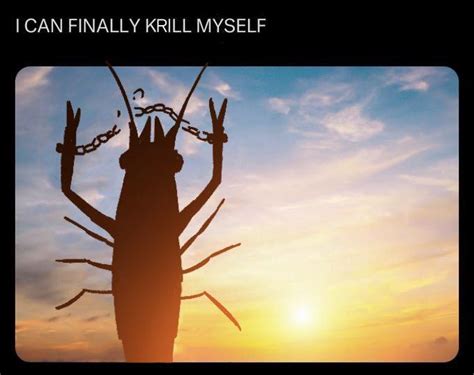 I Can Finally Krill Myself Krill Yourself Krilla Krill Puns