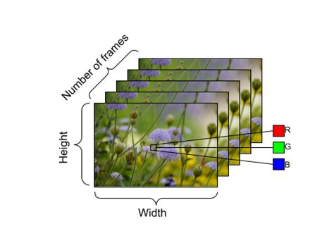 Using TensorFlow For Deep Learning On Video Data The TensorFlow Blog