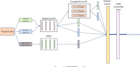 Figure From Multiscale Bidirectional Input Convolutional And Deep Neural Network For Human