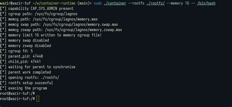 Low Level Container Runtime Sheharyaar