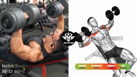 Лучшие Упражнения на Грудь с Гантелями Youtube