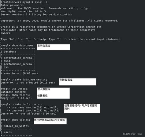 lnmp架构 mysql配置、构建lnmp架构、主从复制 lnmp 主从配置 csdn博客