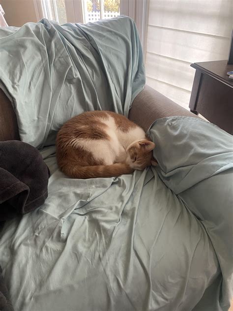 he had a busy morning woke up ate breakfast watched the birds and