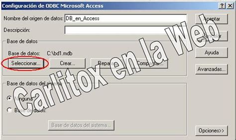 conectar java con access carlitox en la web