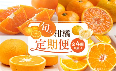 G60 T99 【定期便 全4回】紀州和歌山産旬の柑橘セット みかん・不知火・せとか・清見 全4回｜ふるラボ
