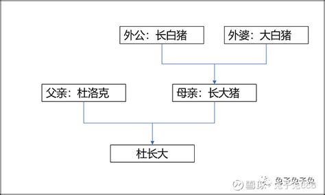 生猪养殖行业研究分析 年更新 本文第一版于 年 月 日首发现对相关数据进行更新本文仅为个人思考总结文中所涉及标的均不构成推荐 行业基本 雪球