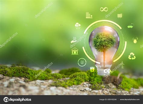 Natural Environment Carbon Neutral Concepts Hand Net Zero Emissions Targets Stock Photo