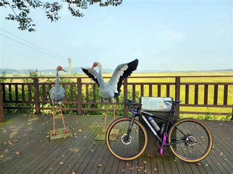 추석에는 황금들녘 라이딩 클리앙