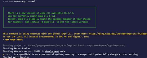 Webpack Errors When Using Expocli · Issue 14789 · Nrwlnx · Github
