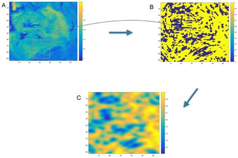 patch importance pi plot generation procedure a fluid attenuated