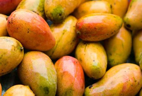 What Happens If You Eat A Bad Mango Risks And Precautions EatWiseFood
