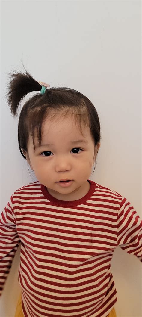 Seisei Object Detection Dataset And Pre Trained Model By Si Syuan Huang