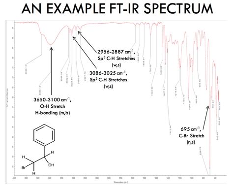 Solved Will Somebody Help Me Correctly Annotate The